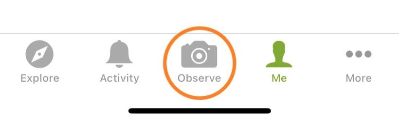 Exploring Nature at your Fingertips: Getting Started with iNaturalist ... Exploring Nature at your Fingertips: Getting Started with iNaturalist ...
